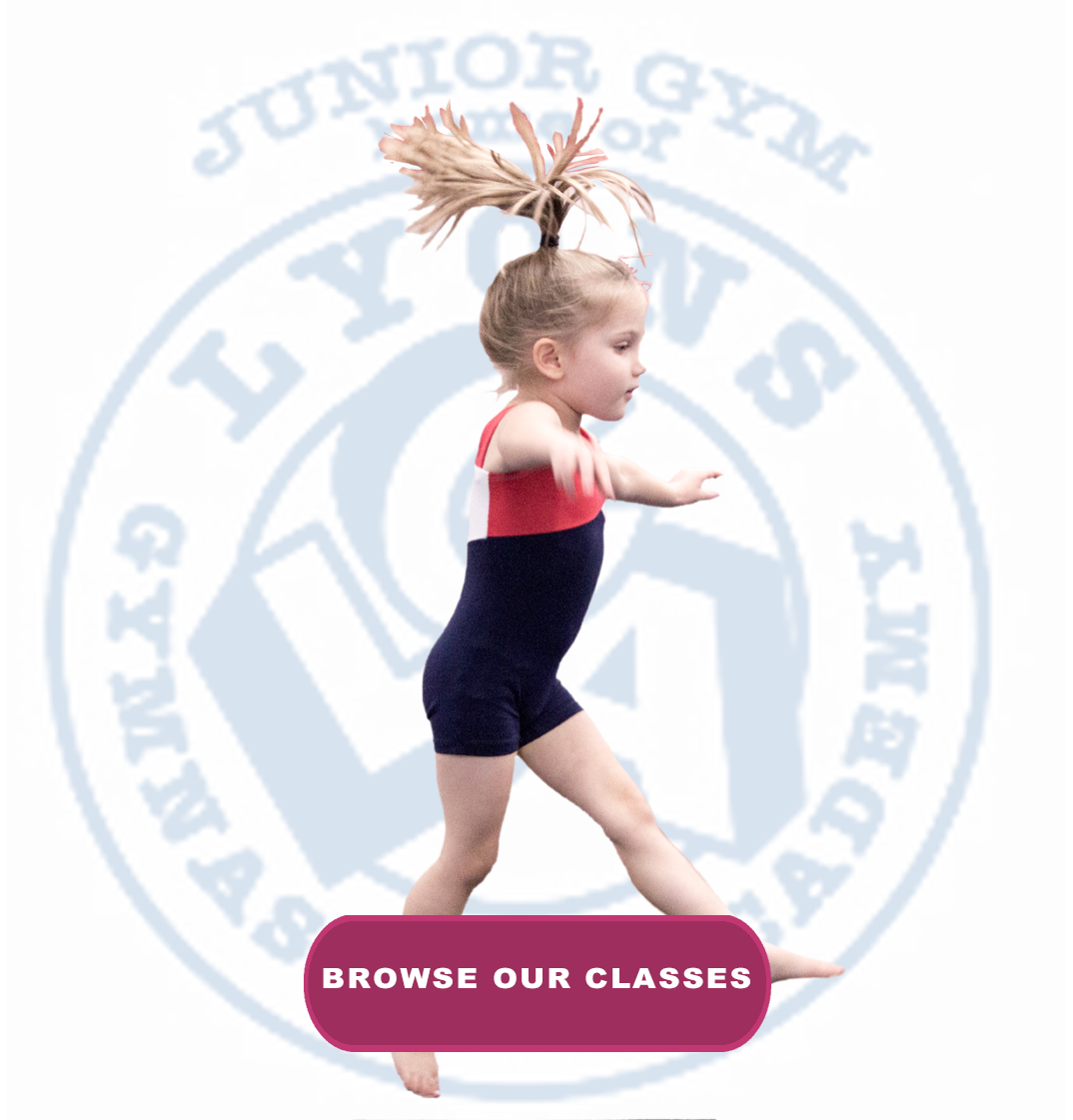 Junior Gym – Home of Lyons Gym Academy